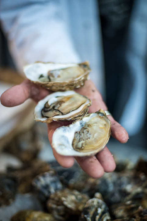 Achat de Poissons & Fruits de mer IGP en direct